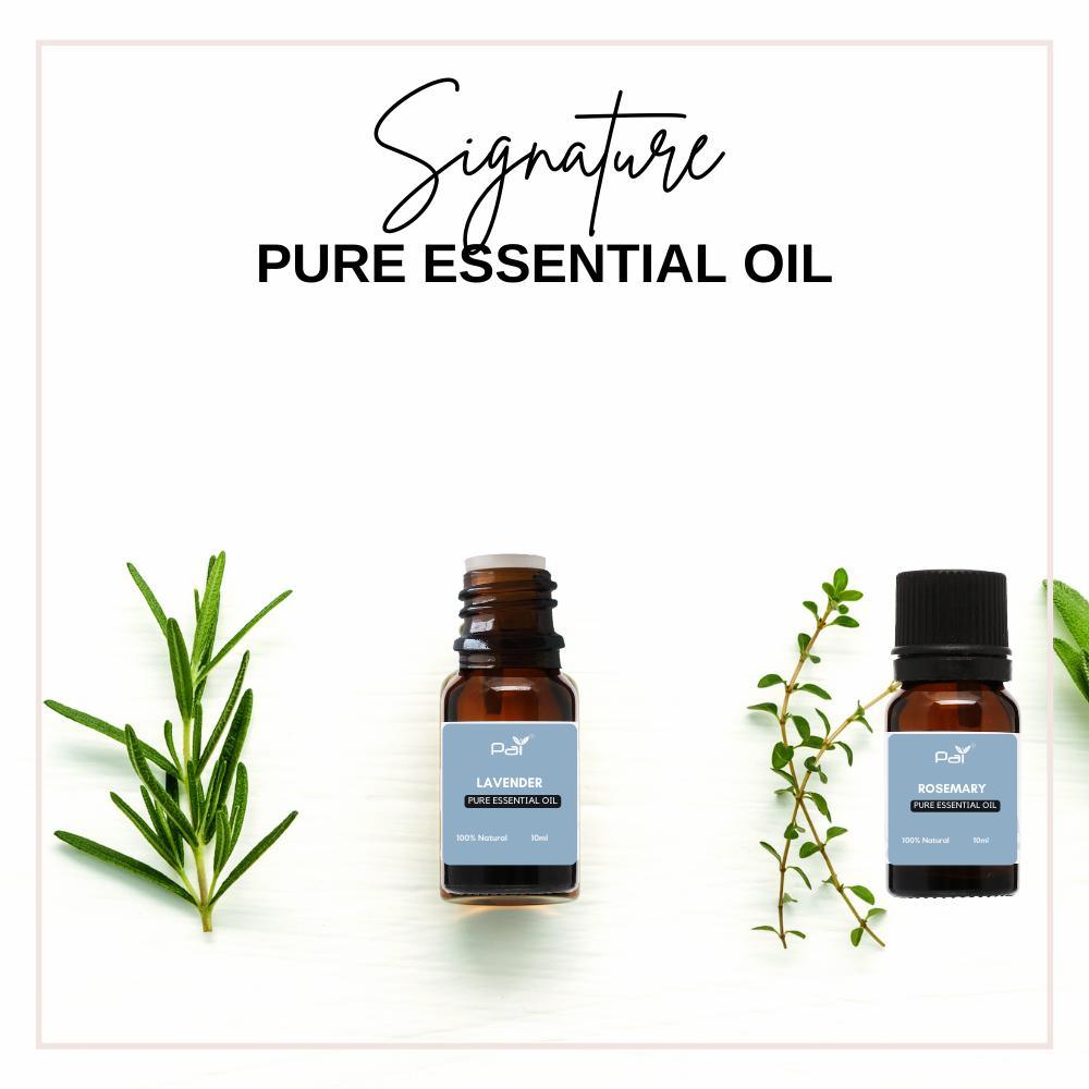 Buy Essential Oil Malaysia Singapore Online | Best For Anxiety & Sleep ...