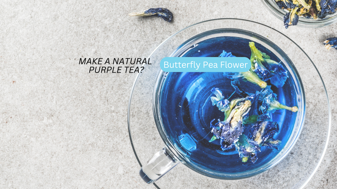 Affordable Pure Essential Oil | PAI Wellness Malaysia Singapore – PAI ...