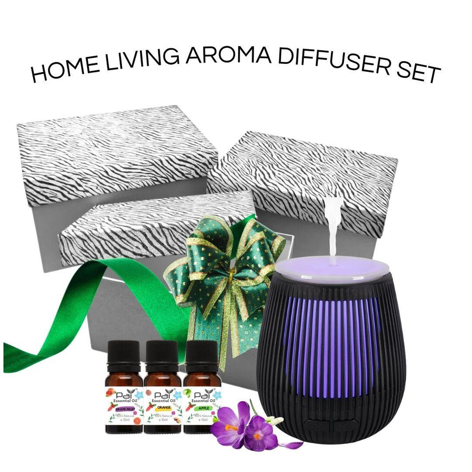 Aroma Diffuser Set – PAI Wellness Pte Ltd